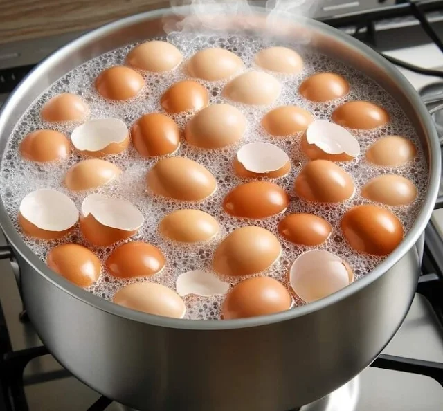 Eating Boiled and Ground Eggshells: Why It’s Not a Safe Calcium Source ...